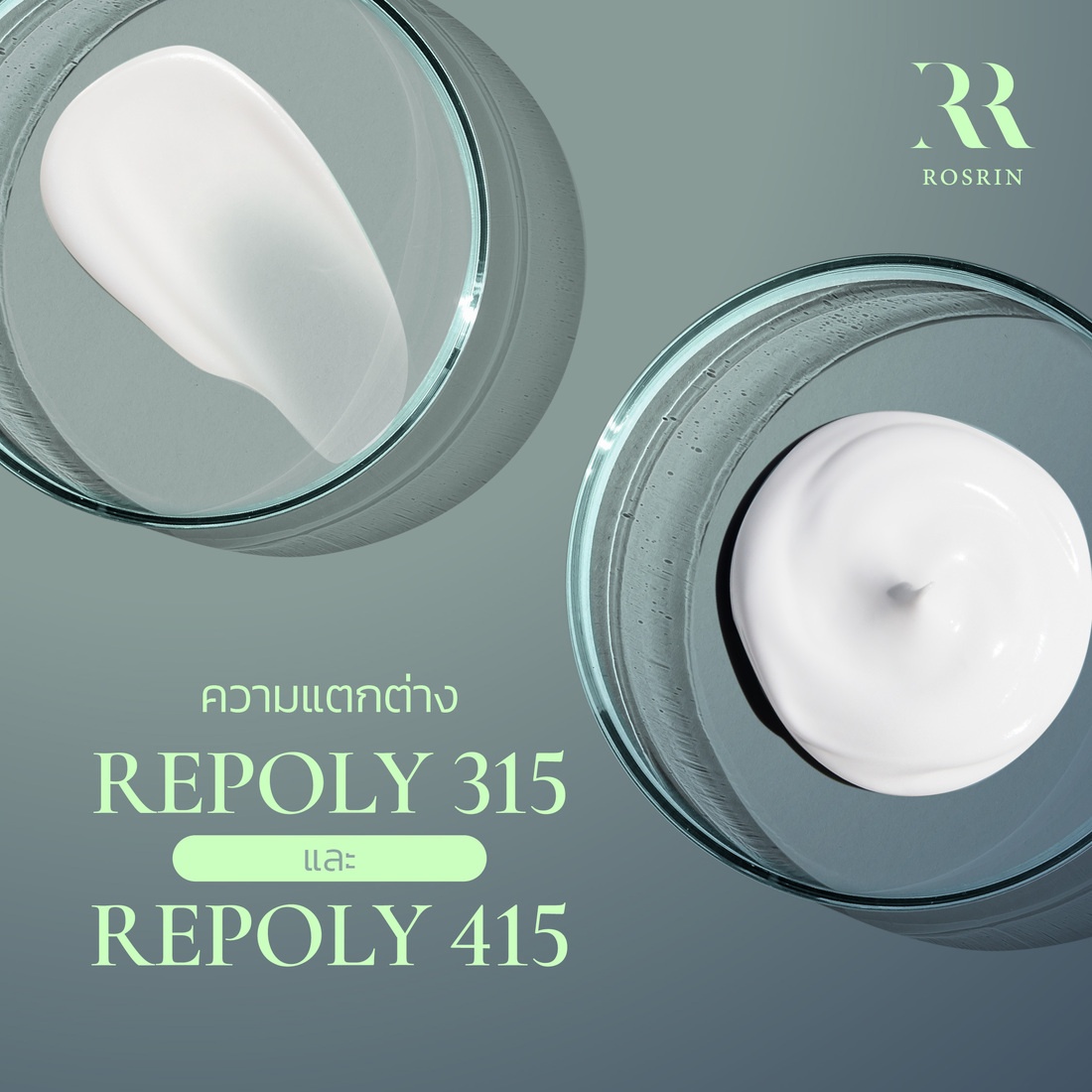 ความแตกต่าง Repoly 315 และ Repoly 415 | Rosrin
